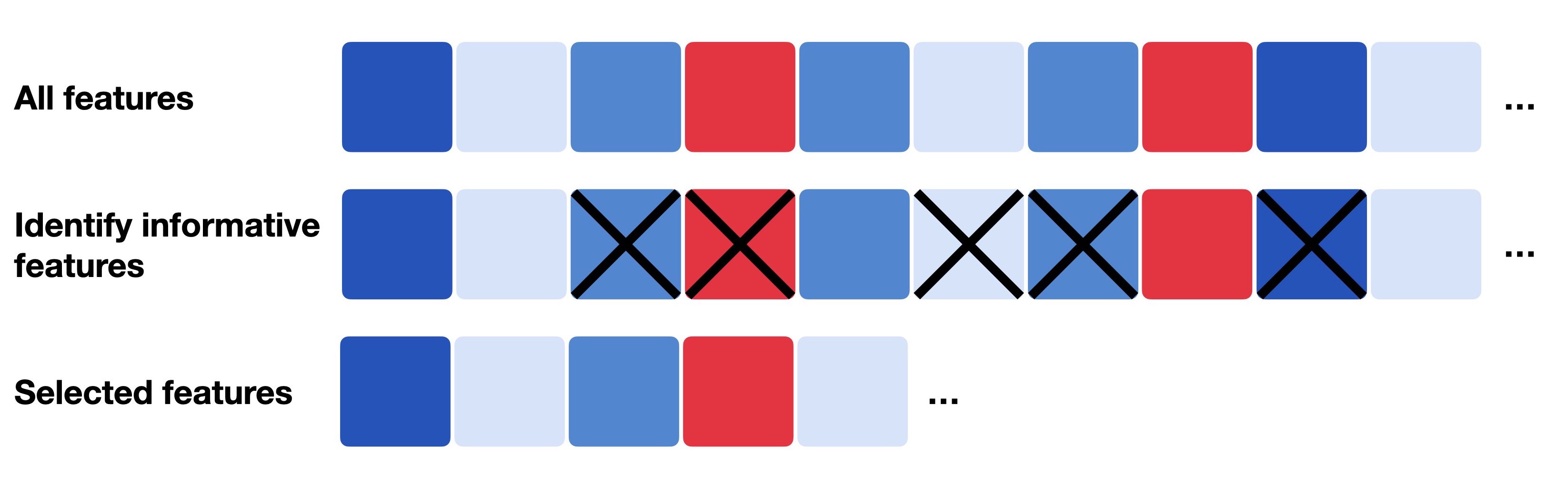 Single Cell RNAseq Analysis