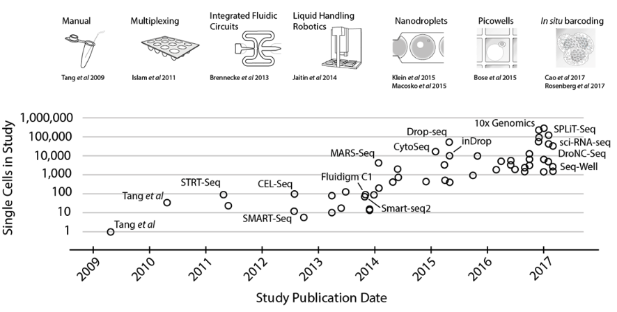 Single Cell Transcriptomics