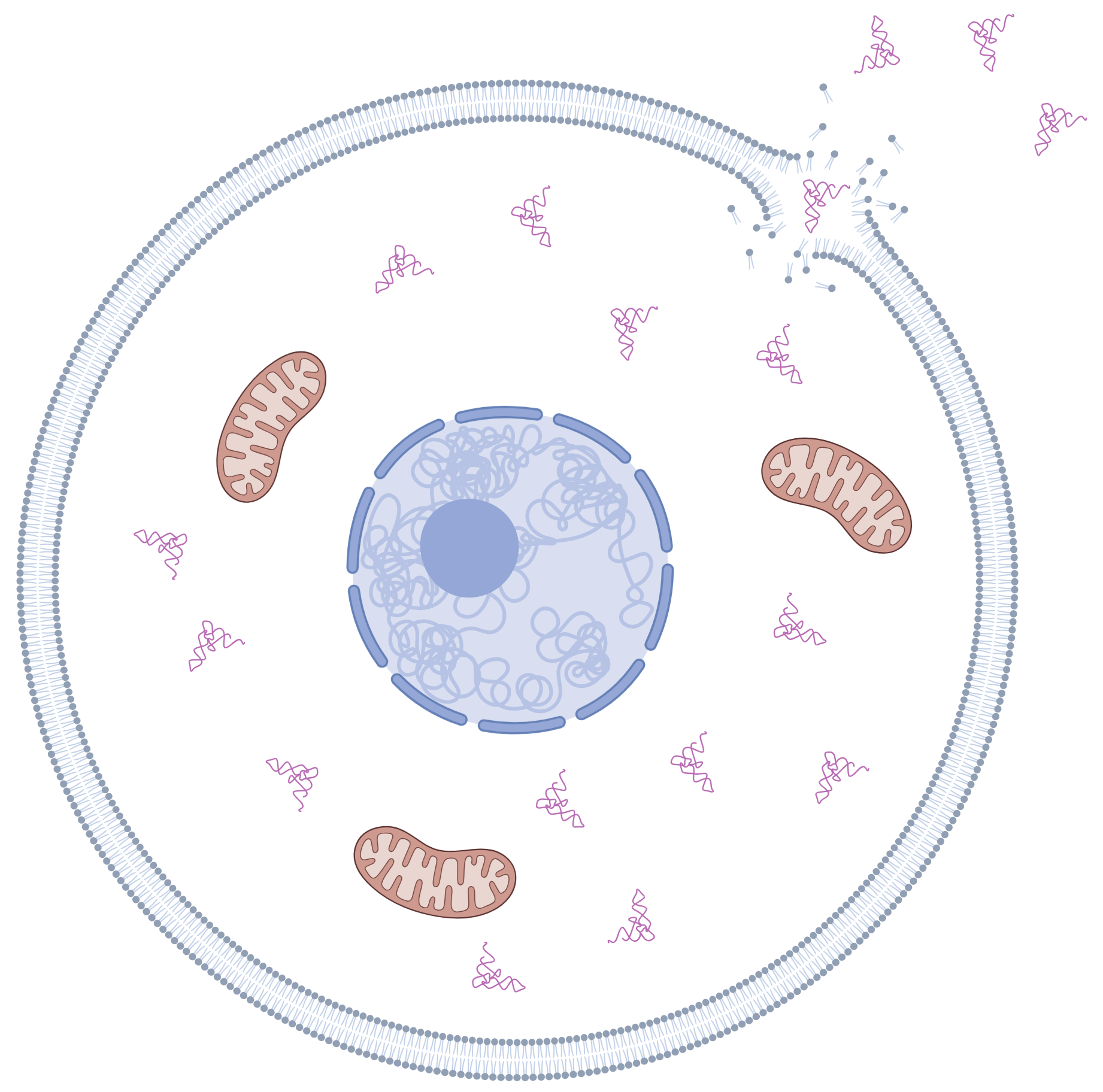 Single Cell RNAseq Analysis